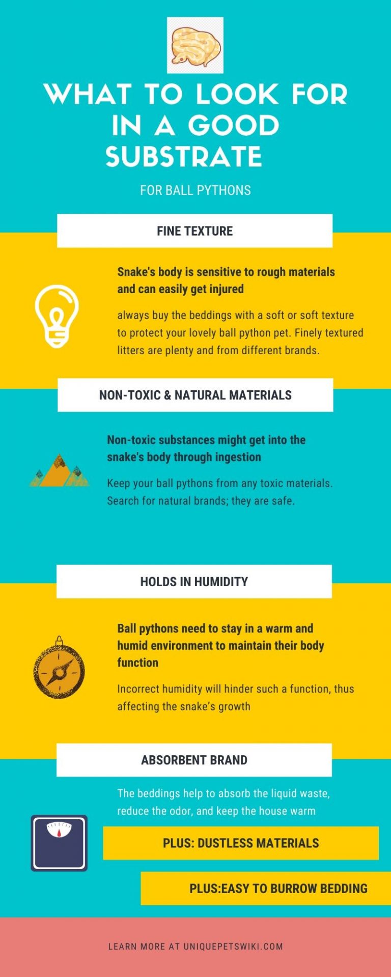 Ball Python Substrate: How To Choose The Best? (Buyers Guide)