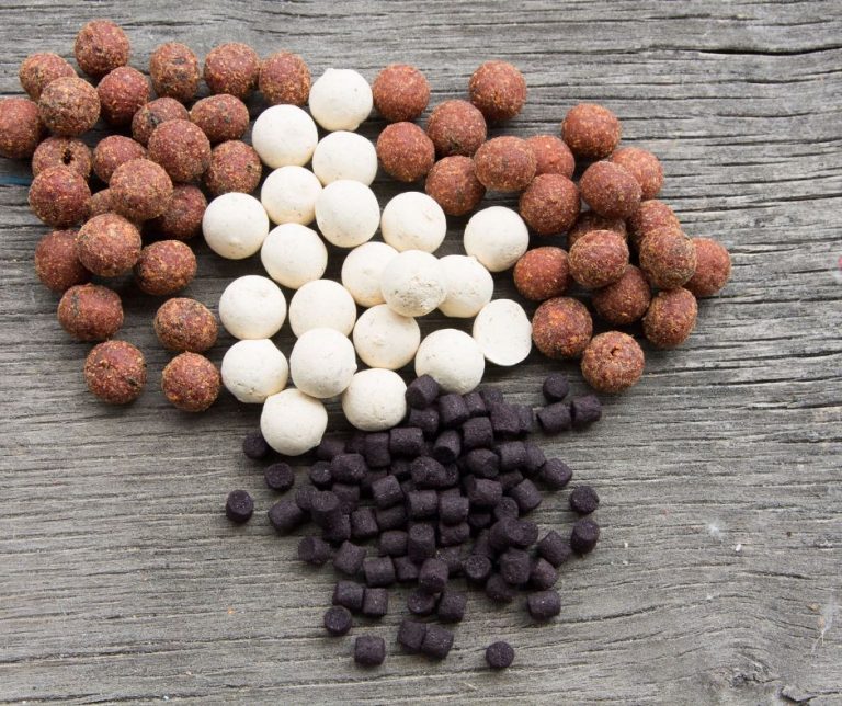4 Best Axolotl Food Pellets